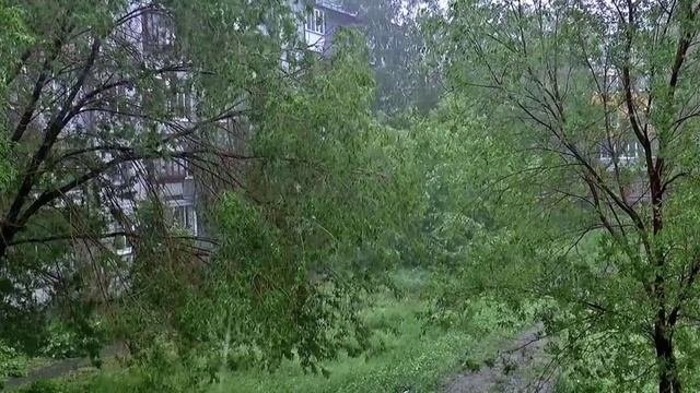 Моё видео
