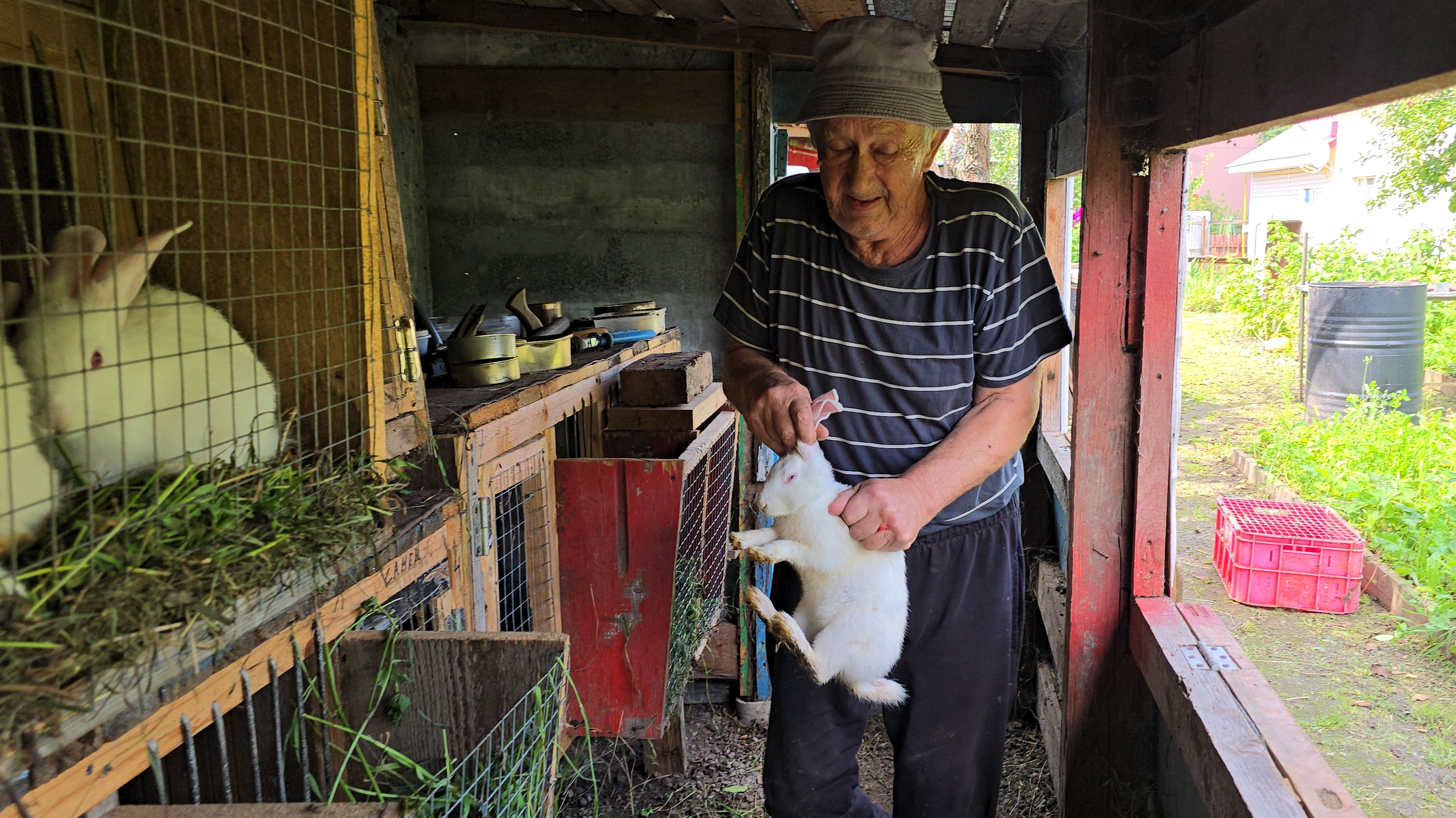 Сельское хозяйство