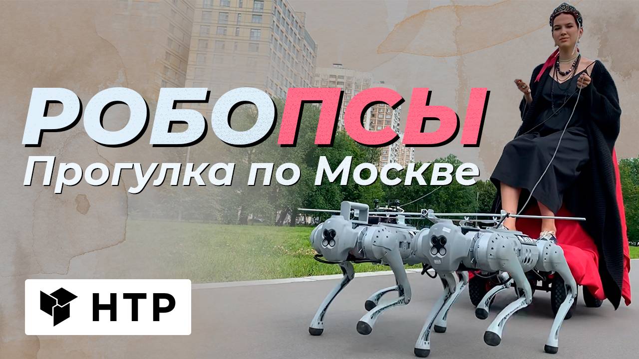 Робопсы