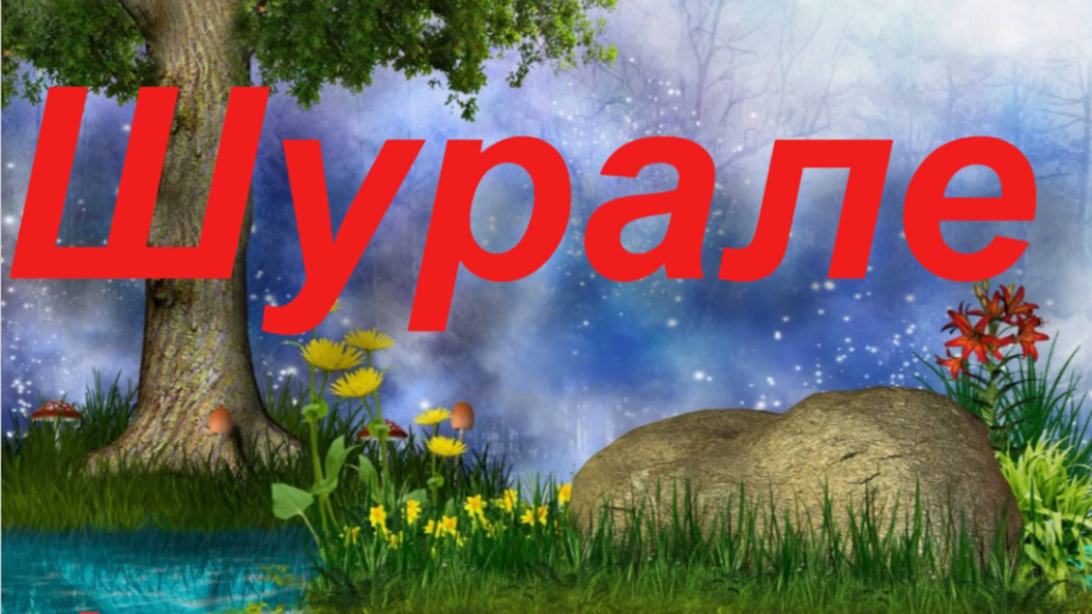 5 класс