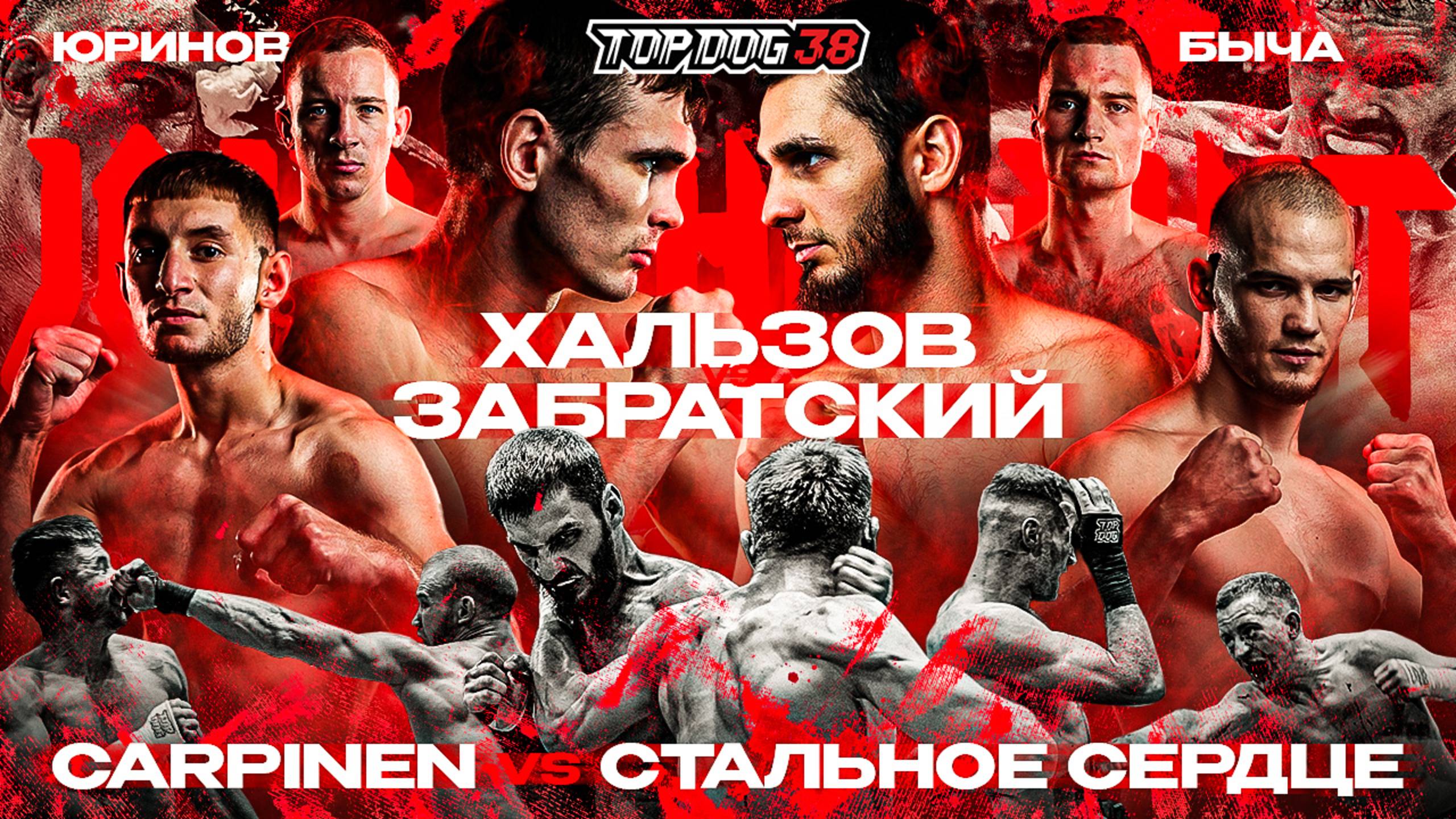 TDFC 38