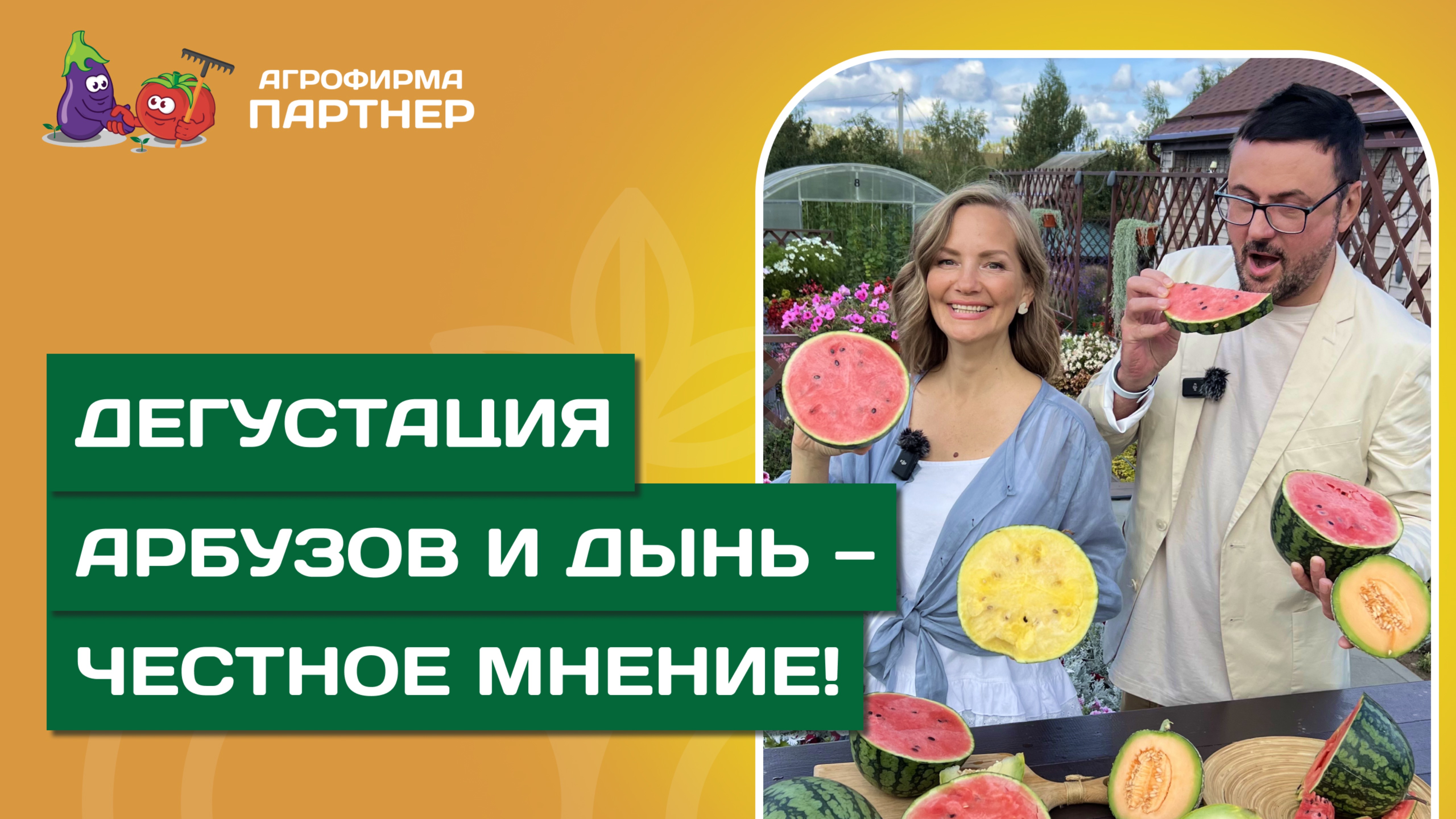 Арбузы и дыни