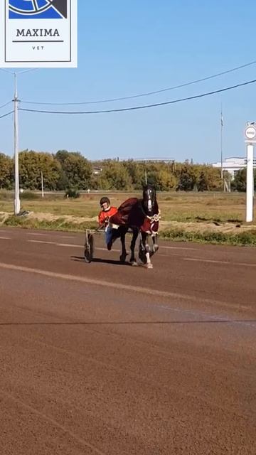 ДОВОЛЬНЫЕ КЛИЕНТЫ: ЖИВЫЕ ИСТОРИИ