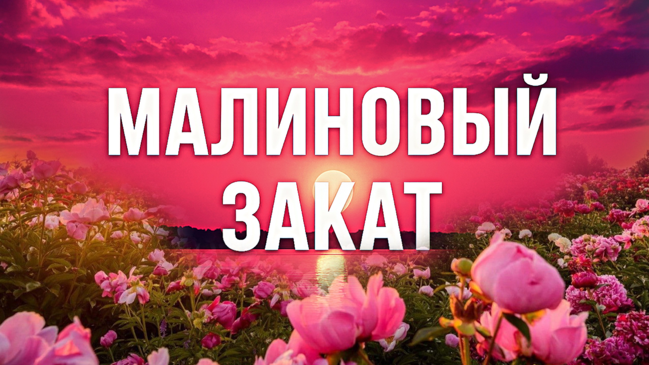 SEVENROSE и Алёна Росс
