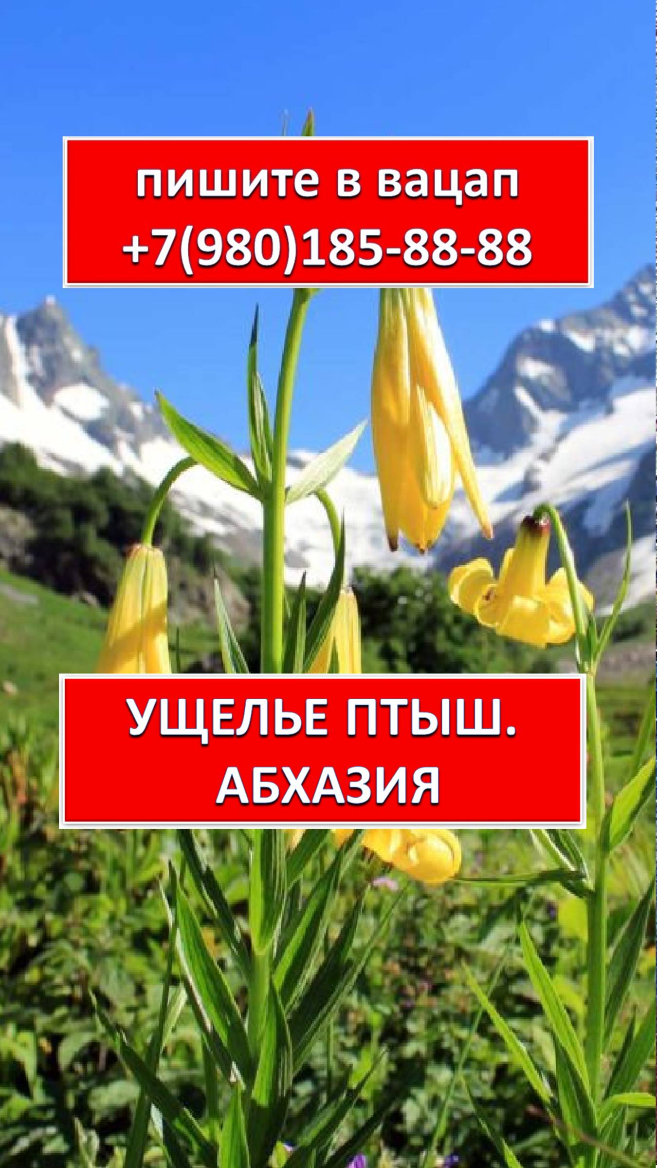 ГОРЫ В АБХАЗИИ