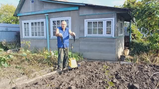 На даче. Посадка и уход за растениями.