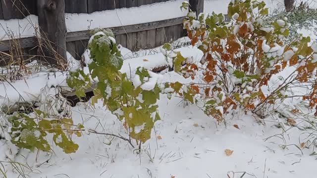 Разное