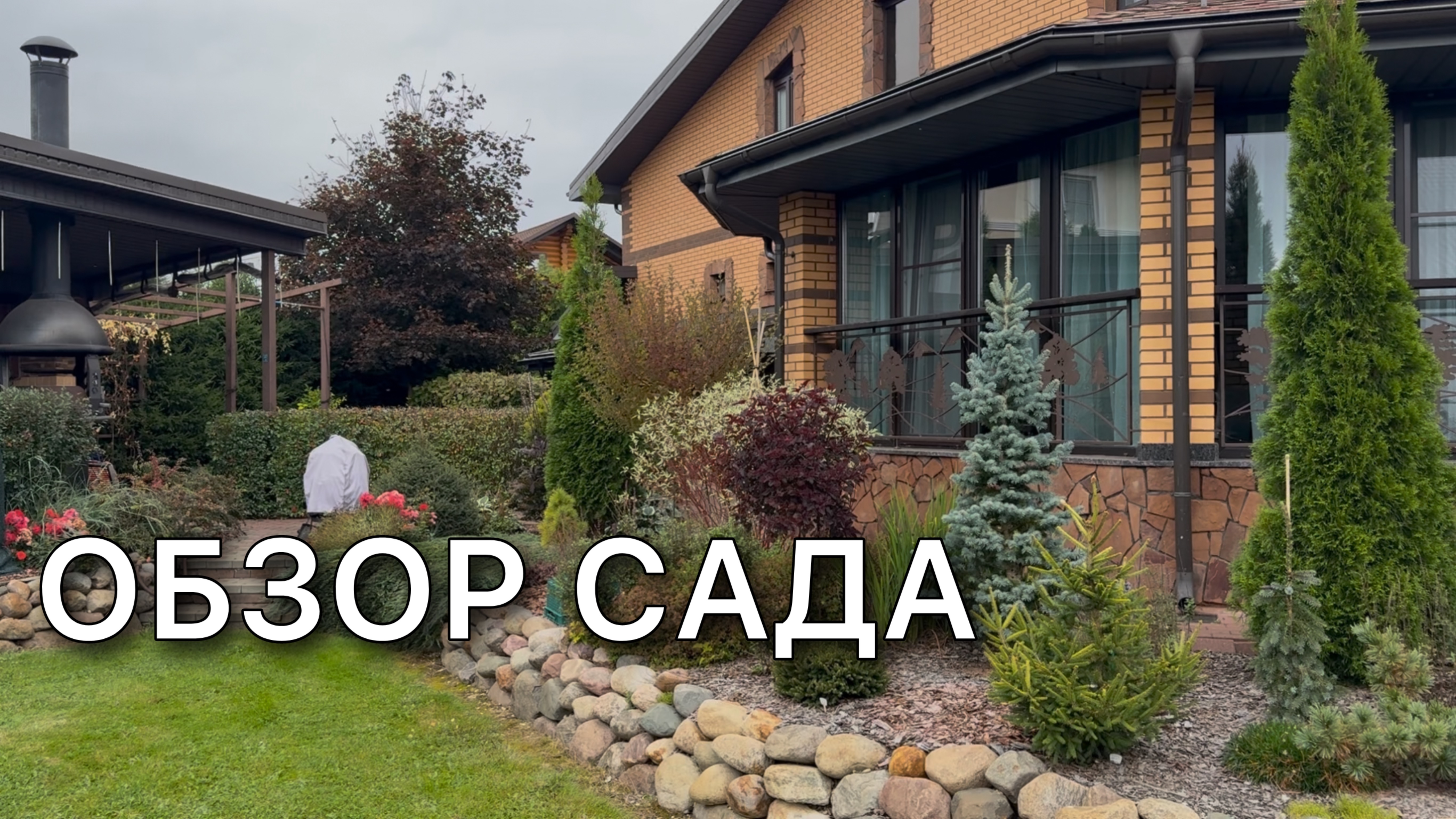 Обзоры сада