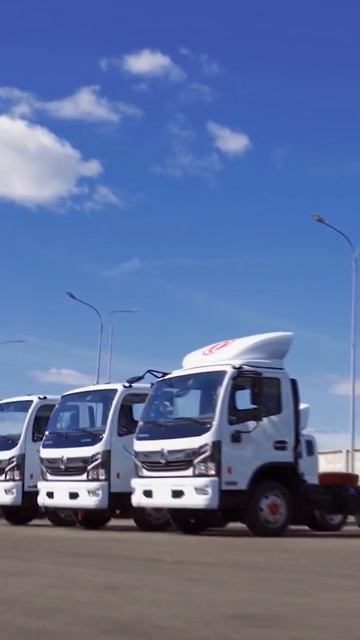 Автопробег DONGFENG к центру России