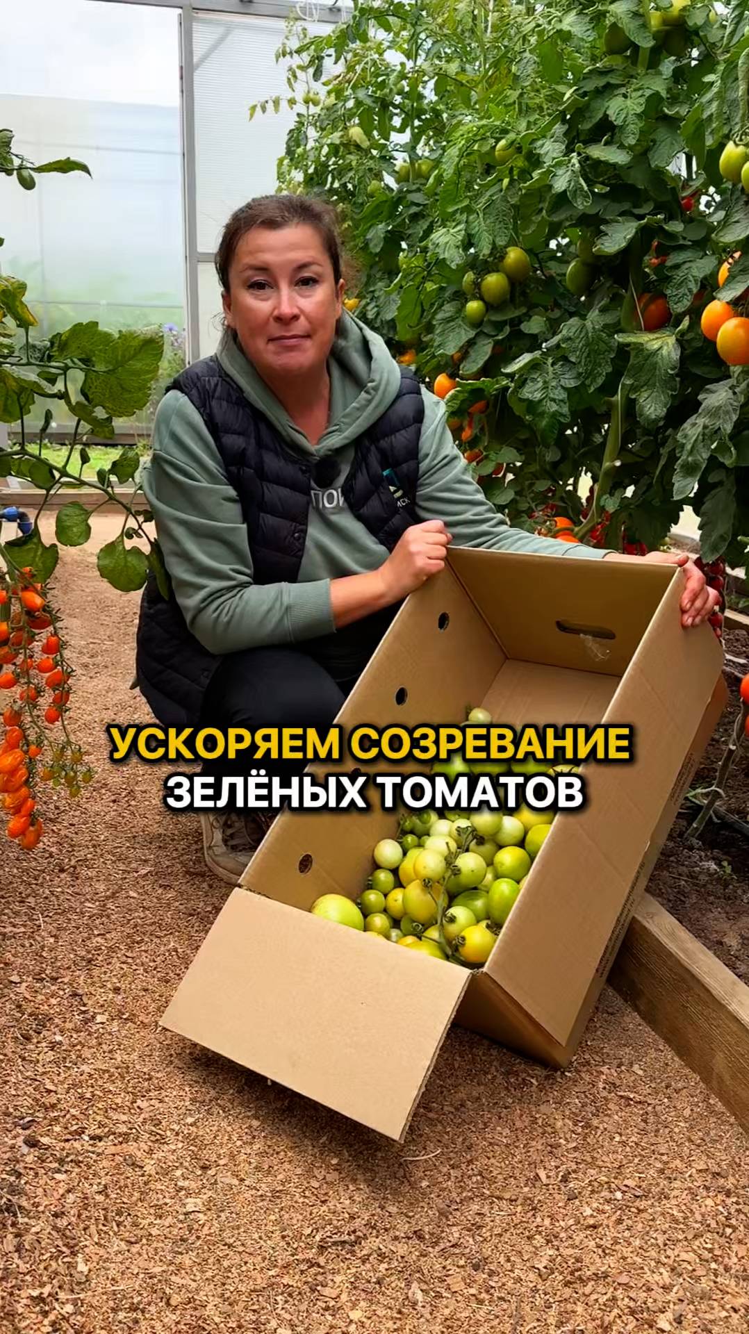 Перец