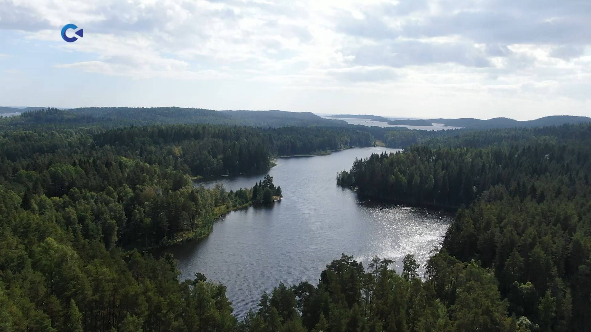 Пульс региона