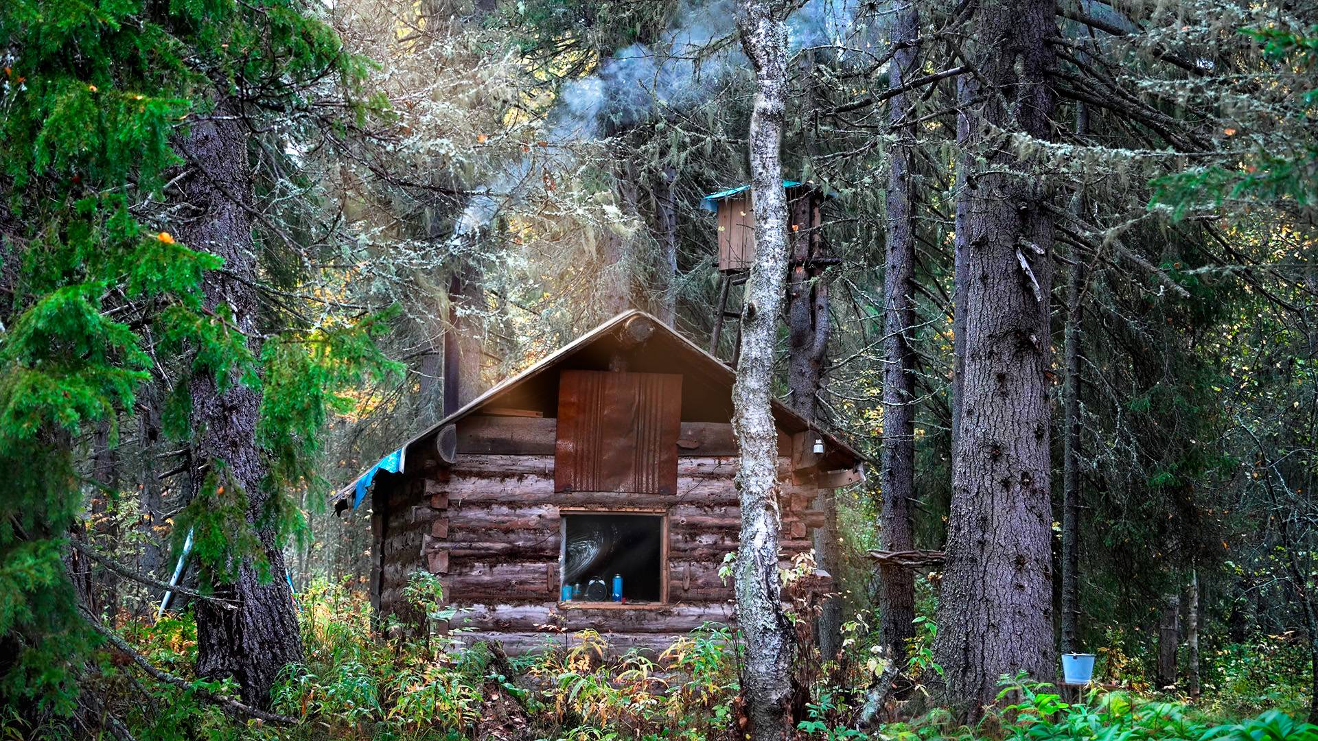 ⁣ЖИЗНЬ В ТАЁЖНОЙ ИЗБЕ. ОХОТА. НЕЛЬЗЯ СТРЕЛЯТЬ! СДЕЛАЛ МАНОК И ДОБЫЛ МЯСО.