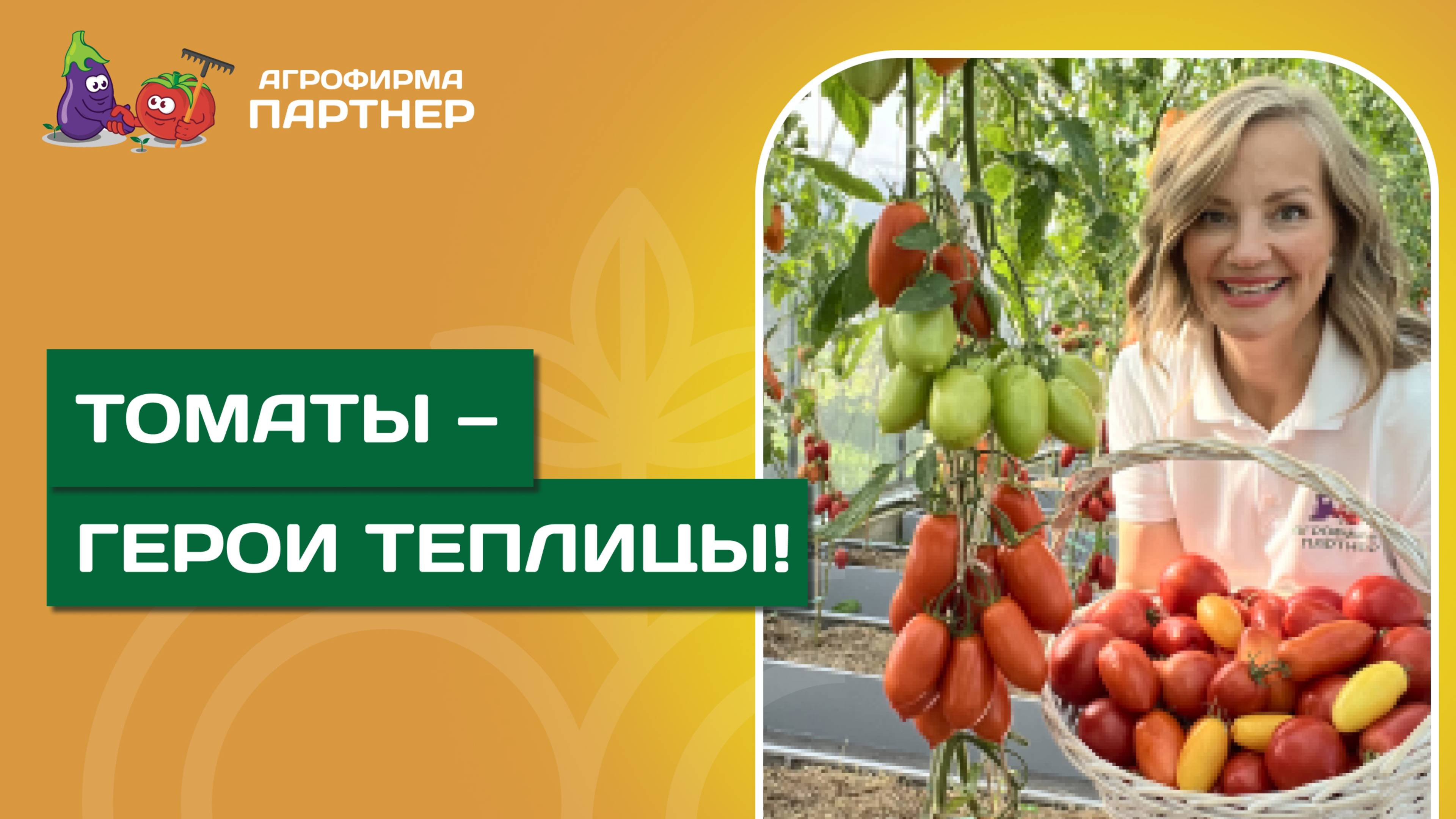 Томаты