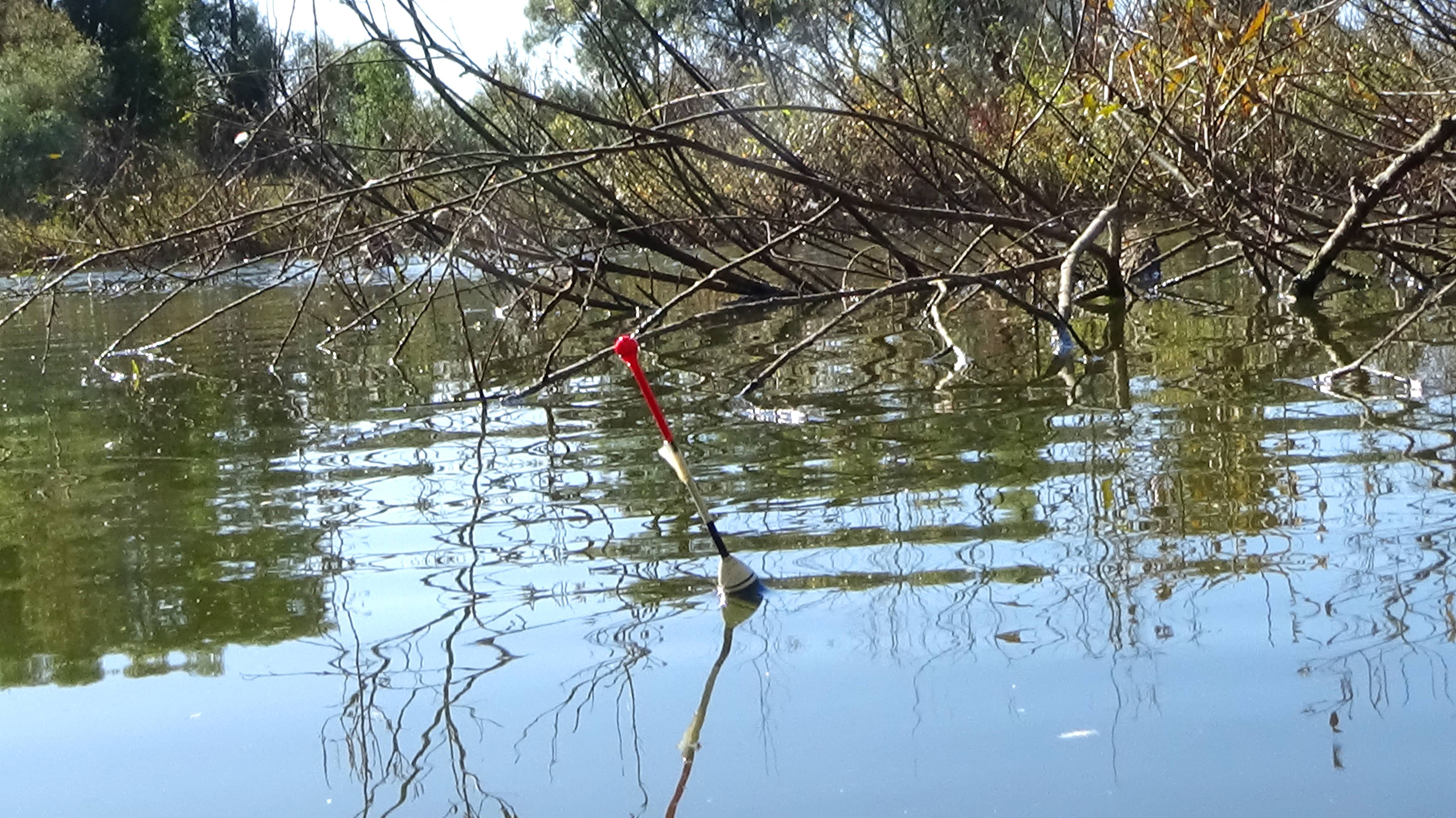 Рыбалка в сентябре