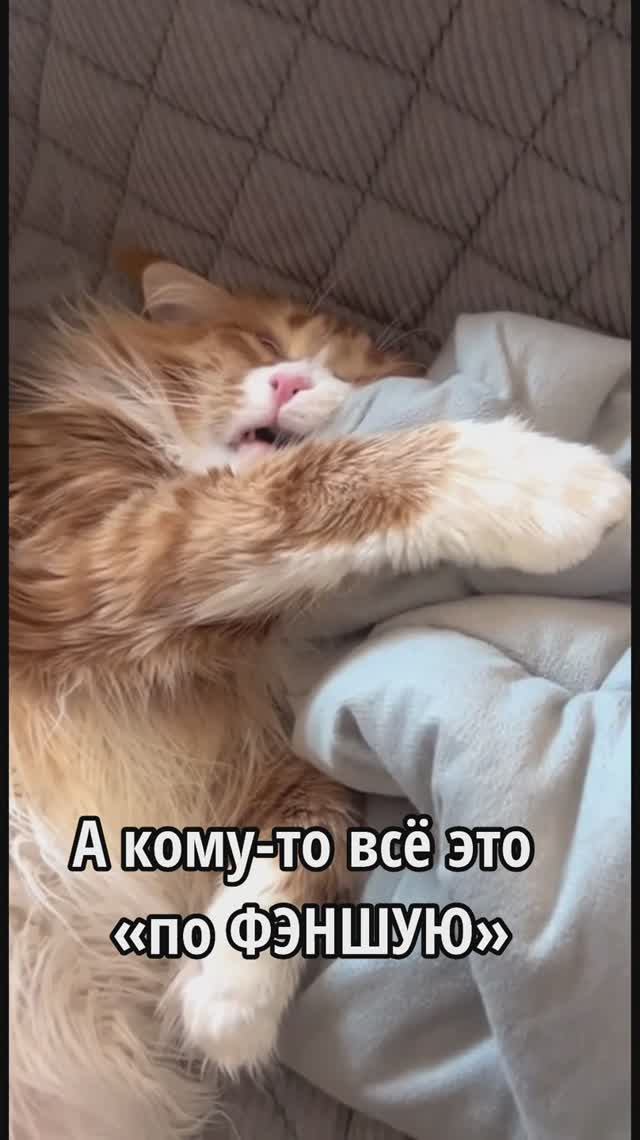 ЮМОР