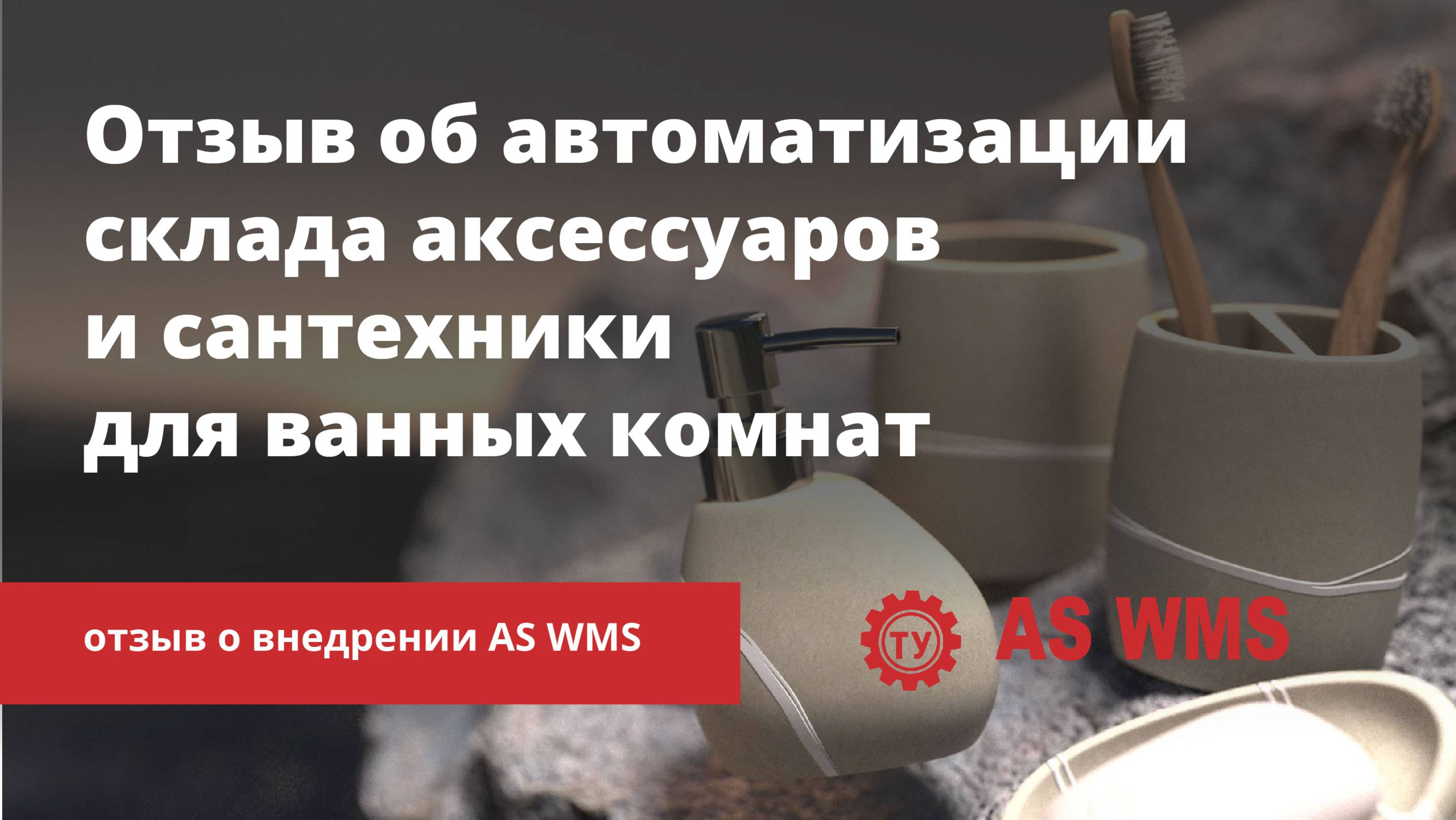 Отзывы. Опыт внедрения AS WMS