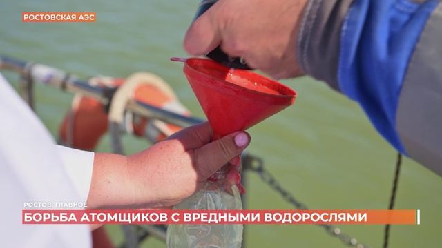 Ростов. Главное
