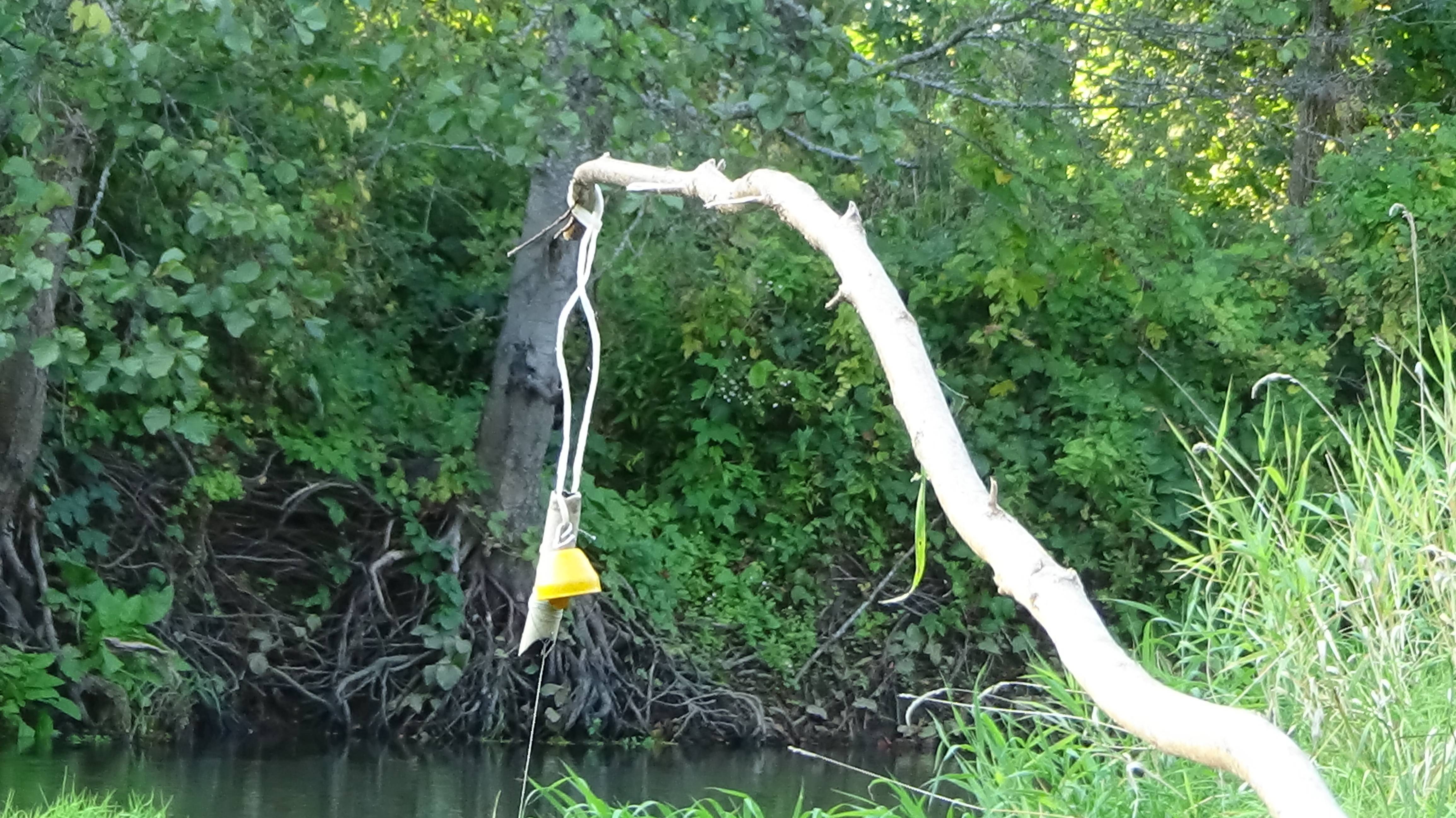 Попробовать поймать 100 щук в сентябре