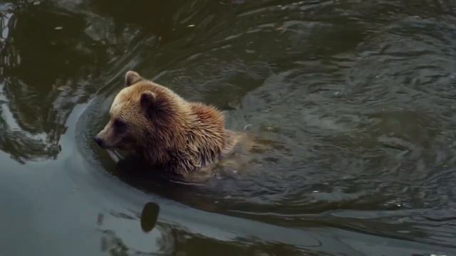 4к видео с Кораном
