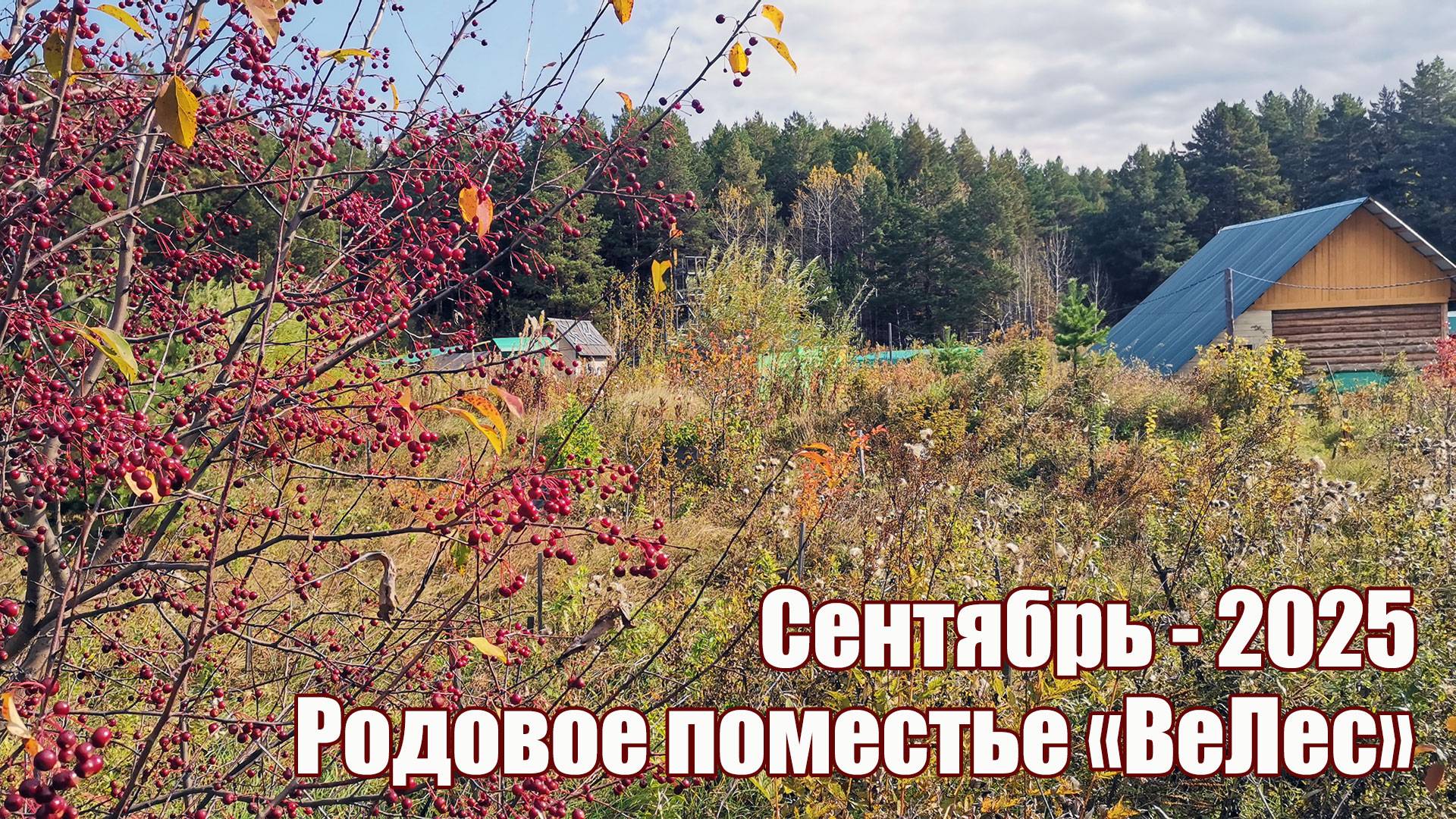 Живу и радуюсь в Родовом поместье