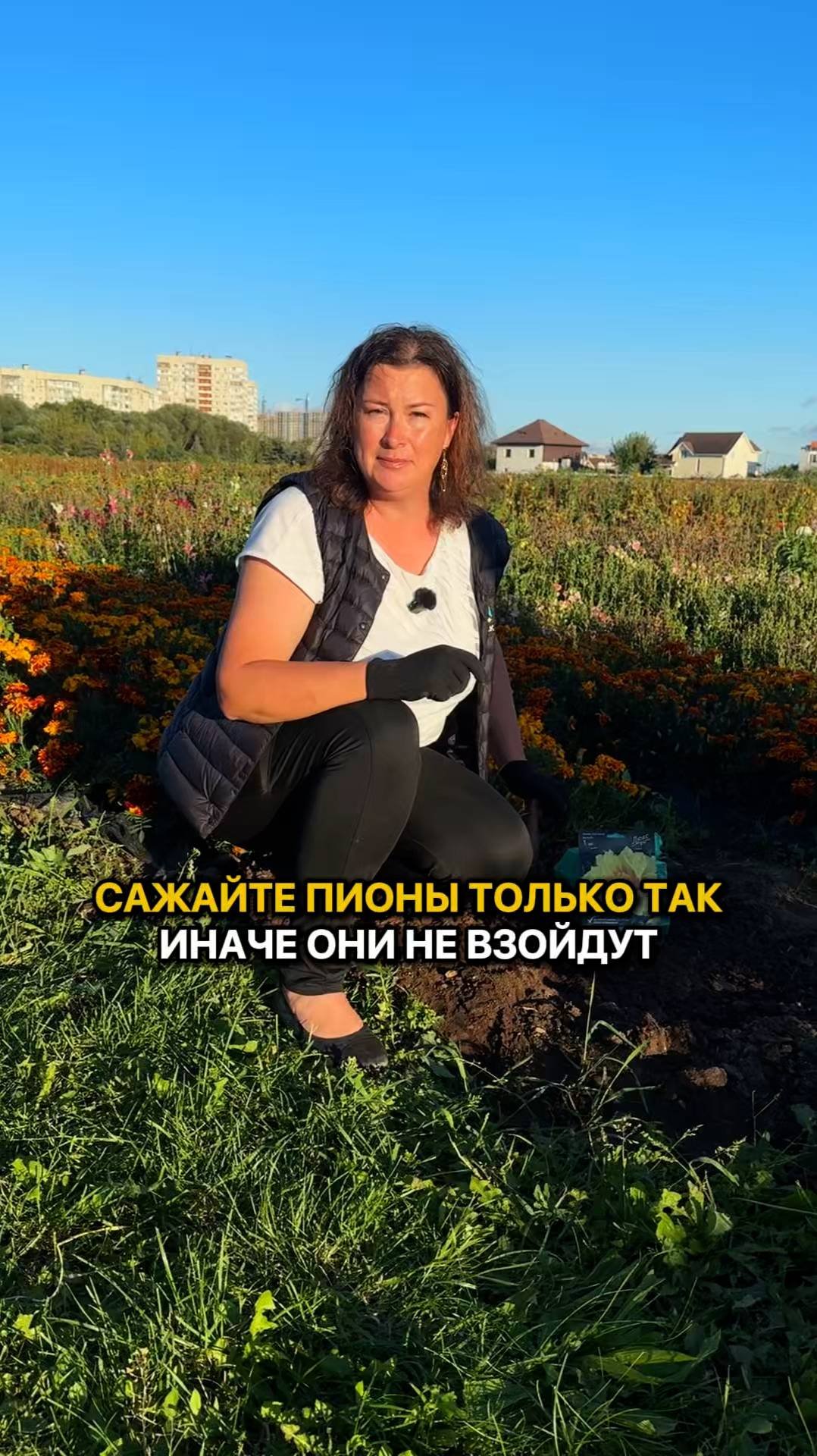 Выращивание цветов