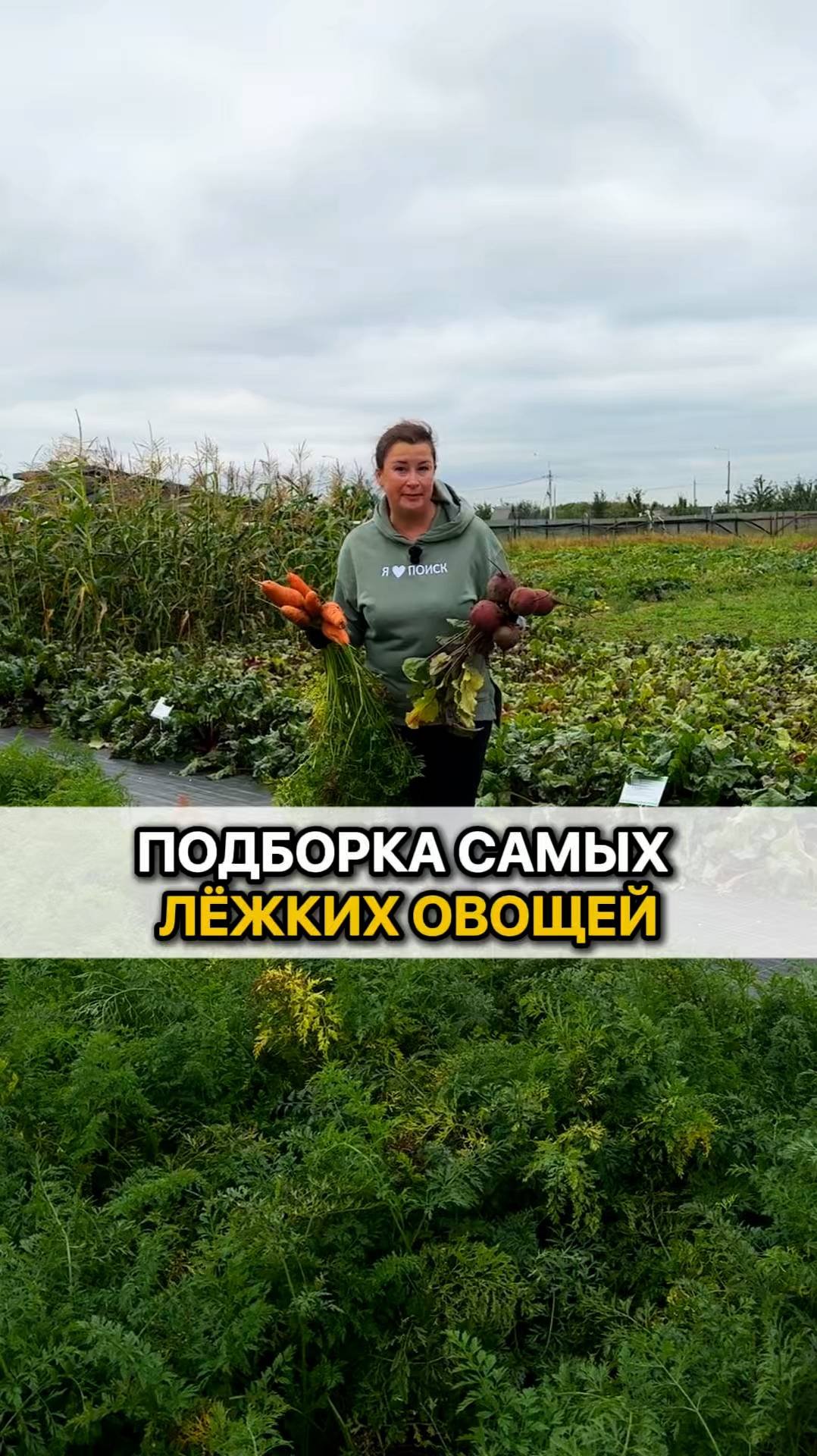 Морковь