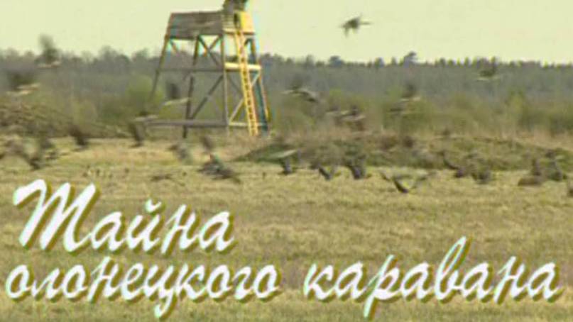 Наши фильмы