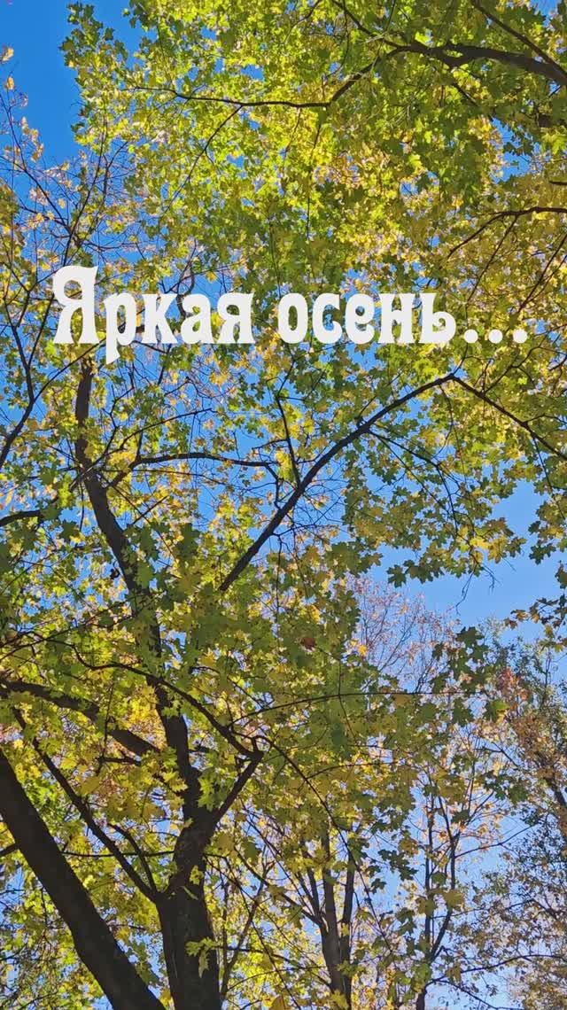 Мое ВИДЕО