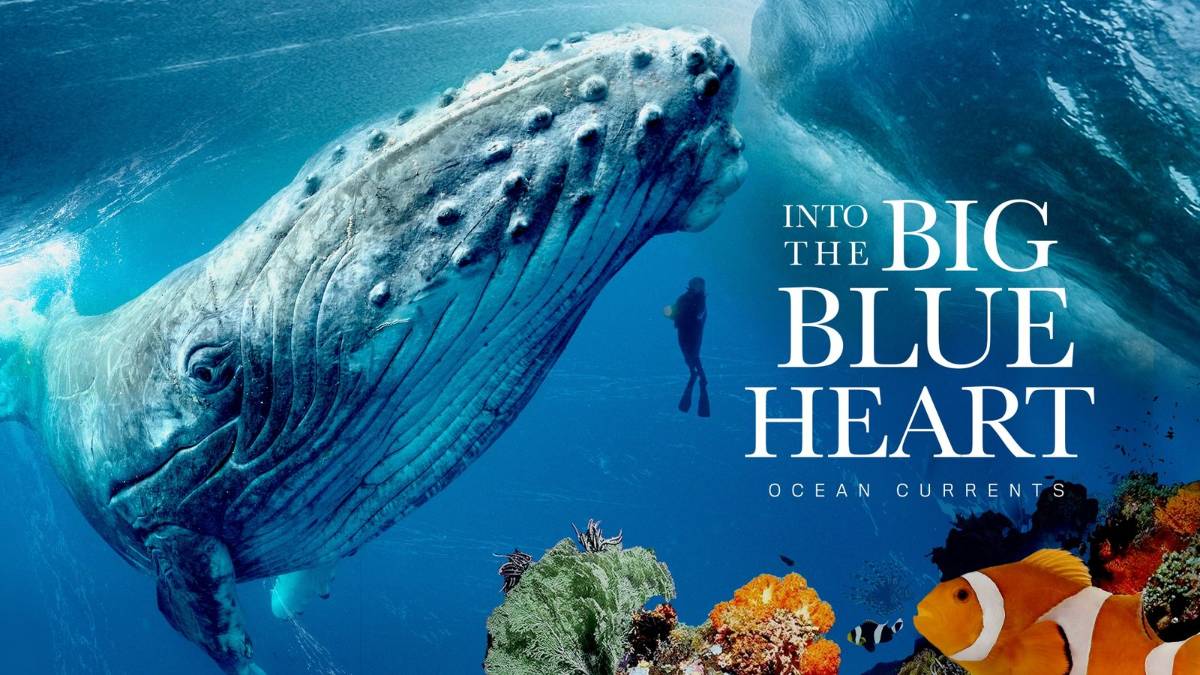 Сериал В голубую бездну  / Into the Big Blue Heart: Ocean Currents