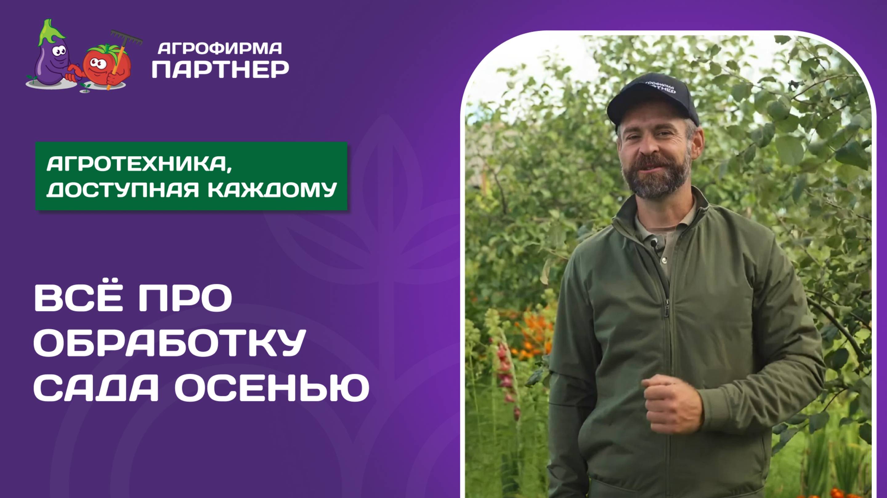 Кустарники в саду