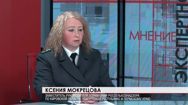 Экспертное мнение