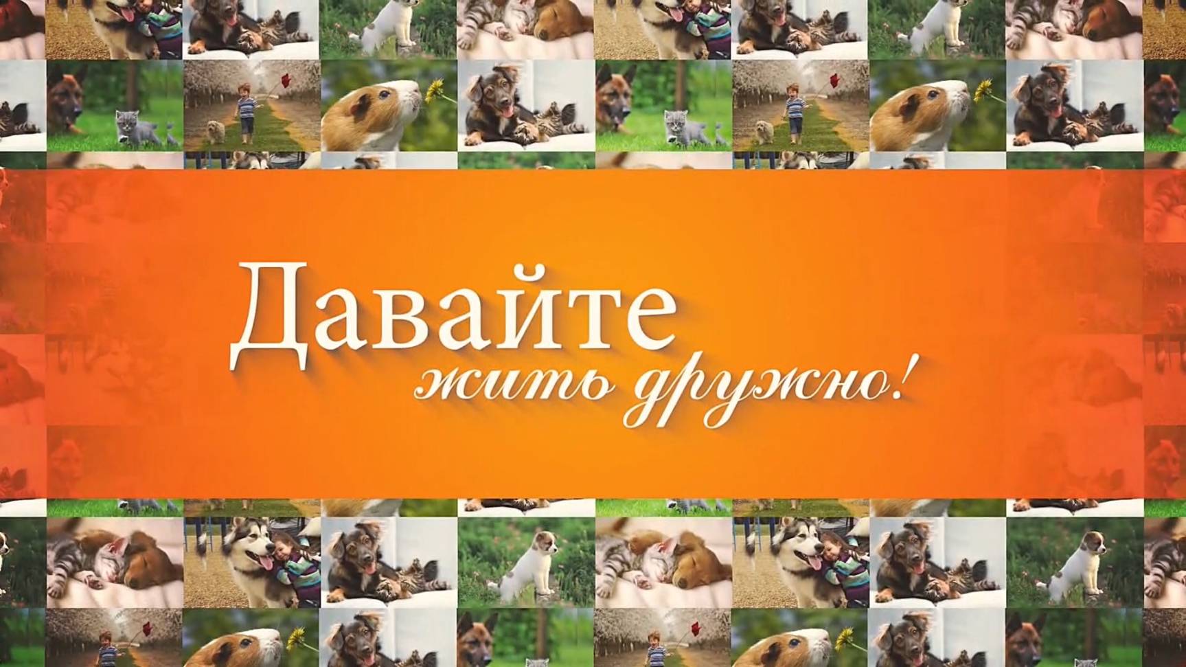 ДАВАЙТЕ ЖИТЬ ДРУЖНО