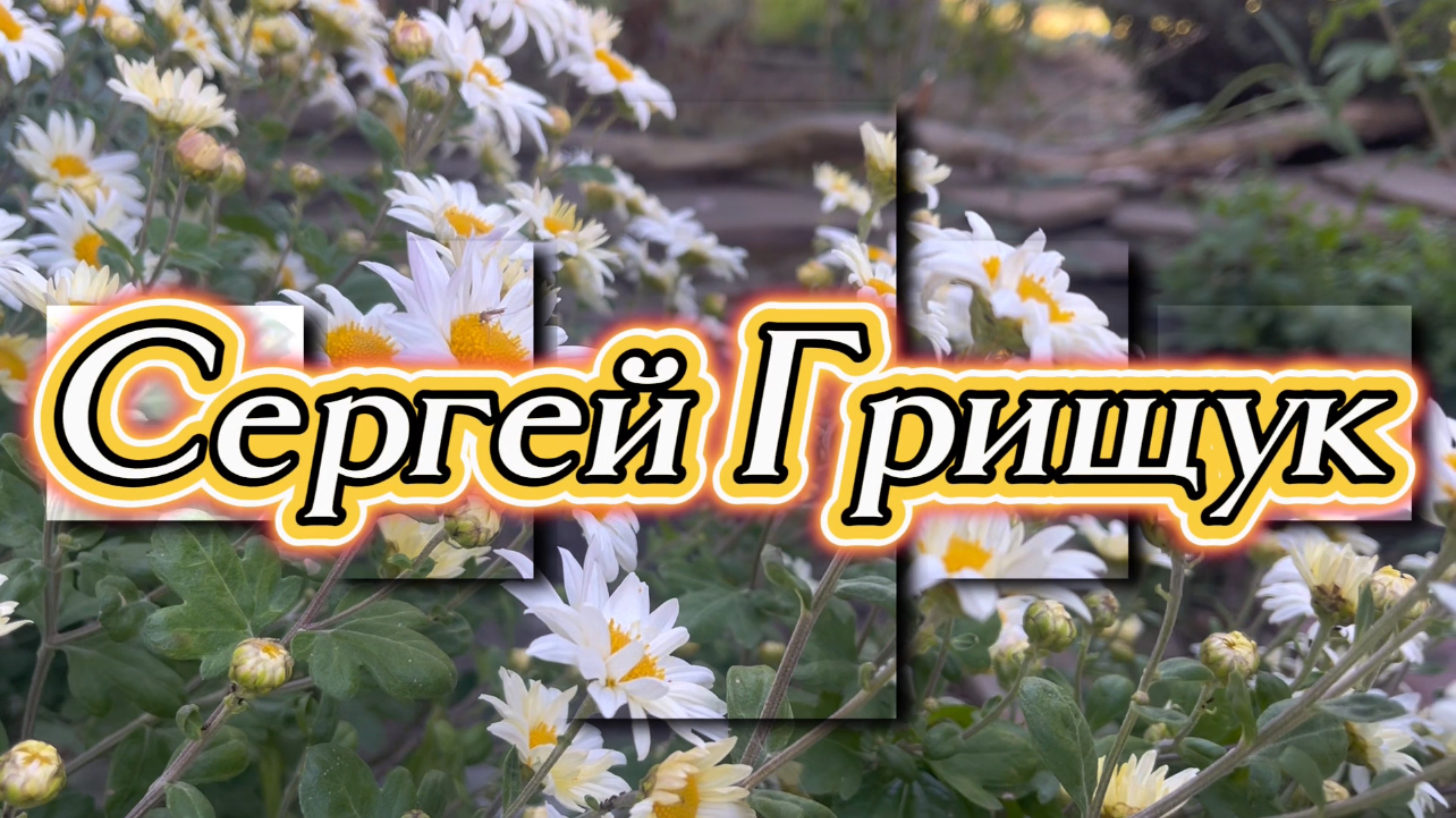 Сергей Грищук