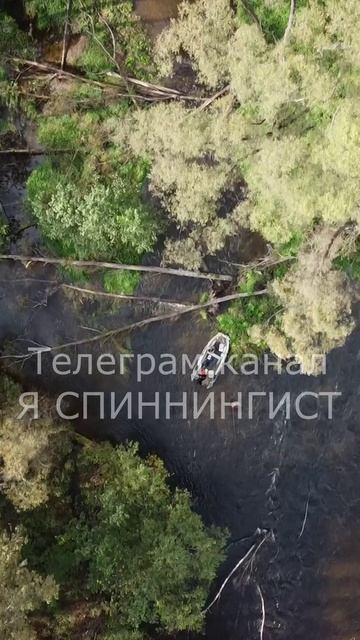 Рыбалка на горной реке
