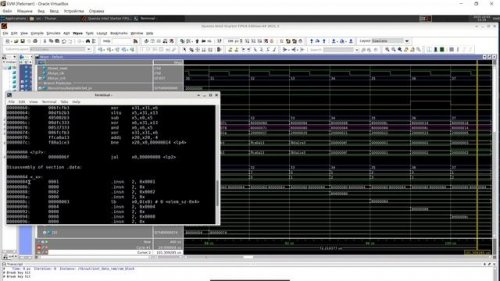 Yetuk va tajribali ayollar ishtirokidagi porno videolar