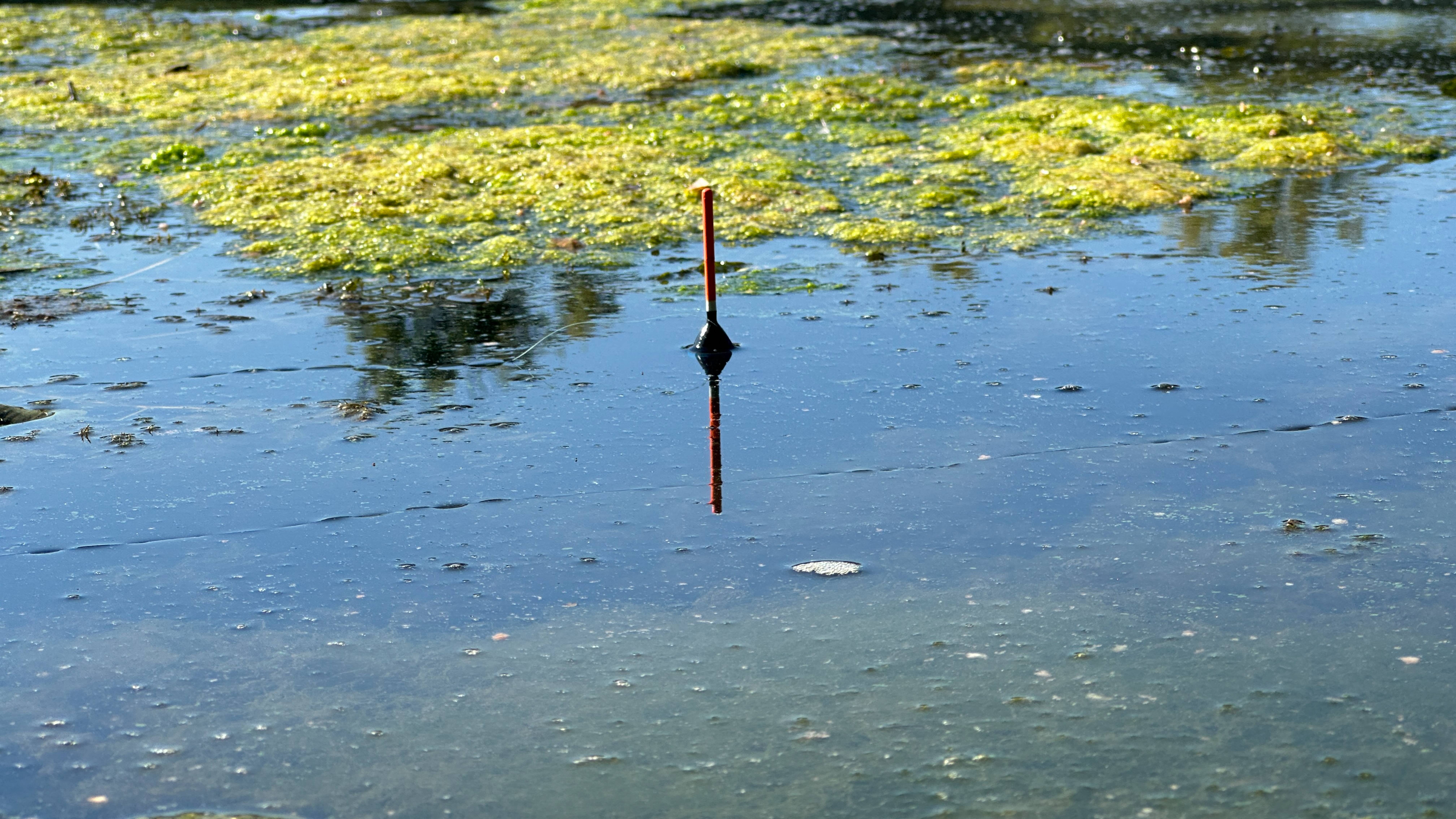 Рыбалка на поплавок