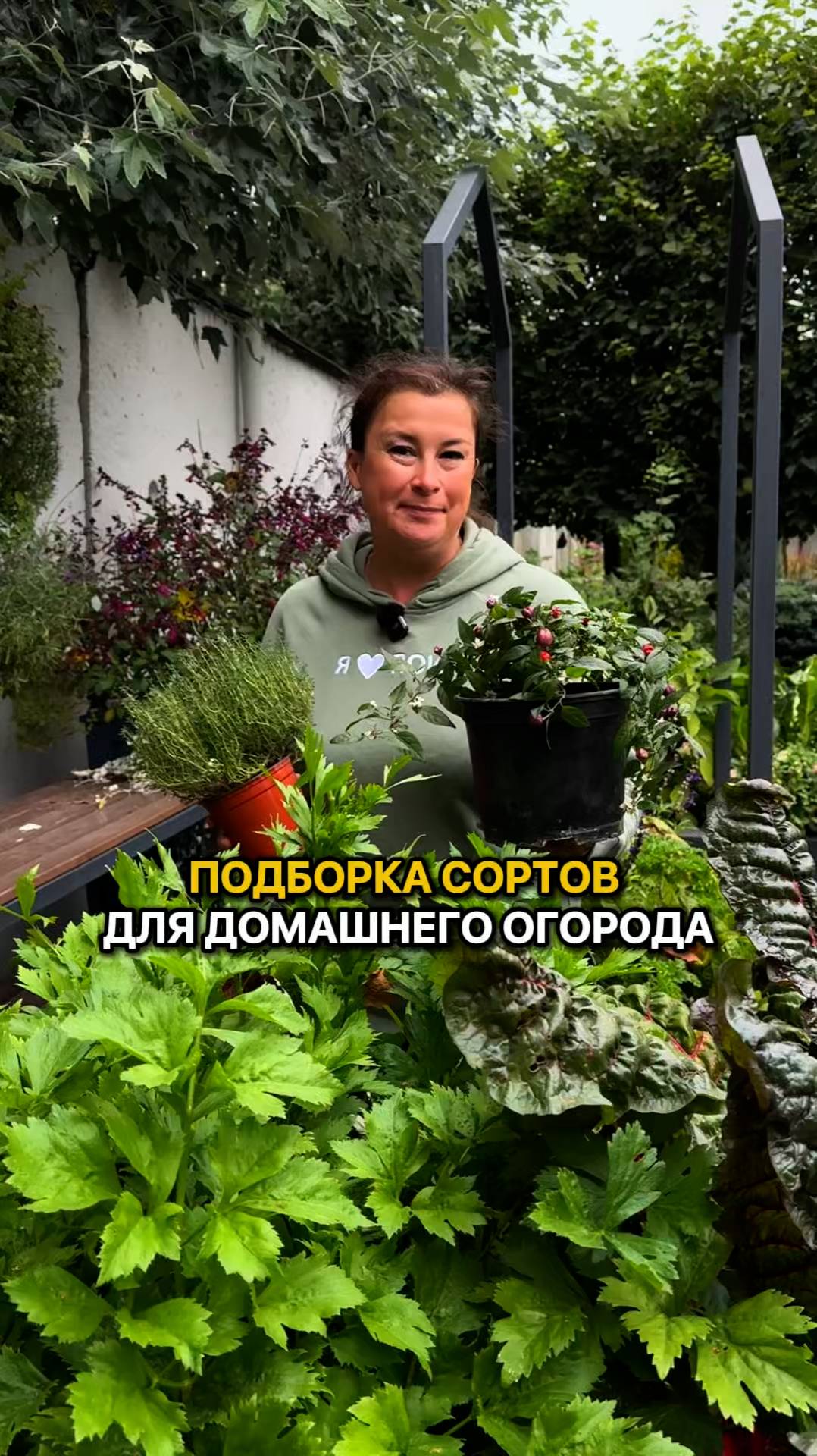 Огород на подоконнике