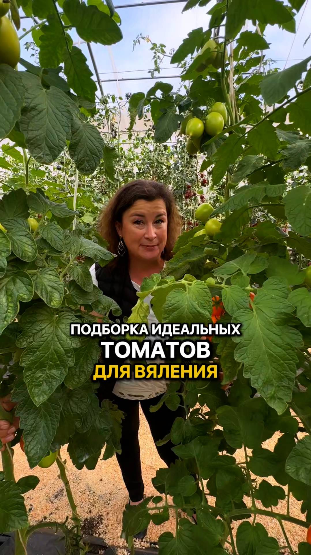 Томаты