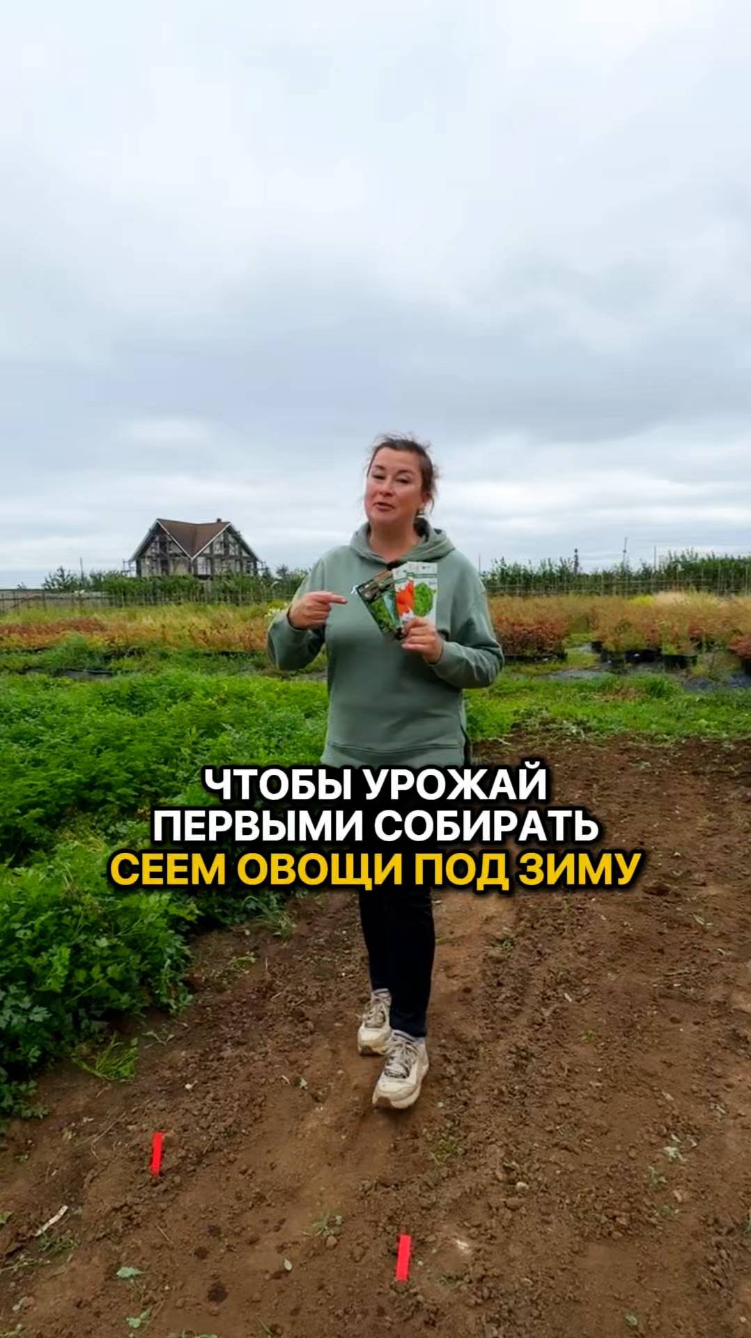 Выращивание рассады