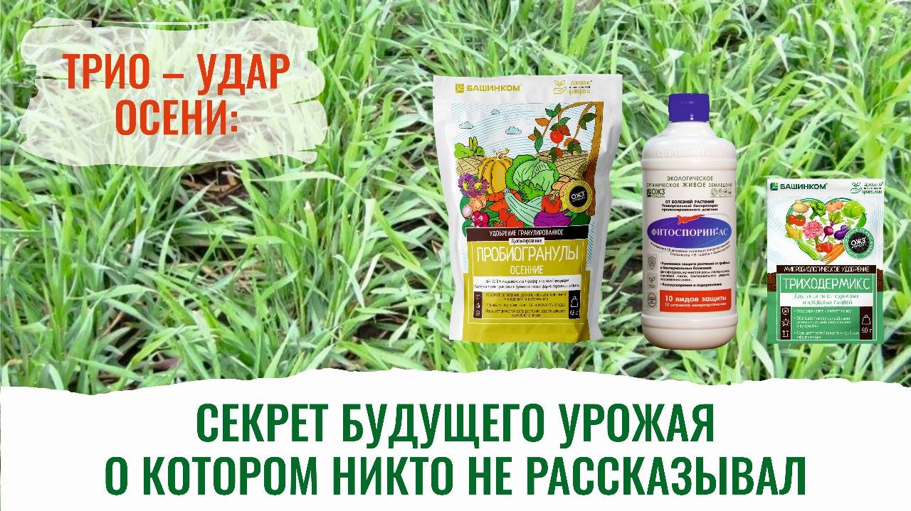 Народные Проекты