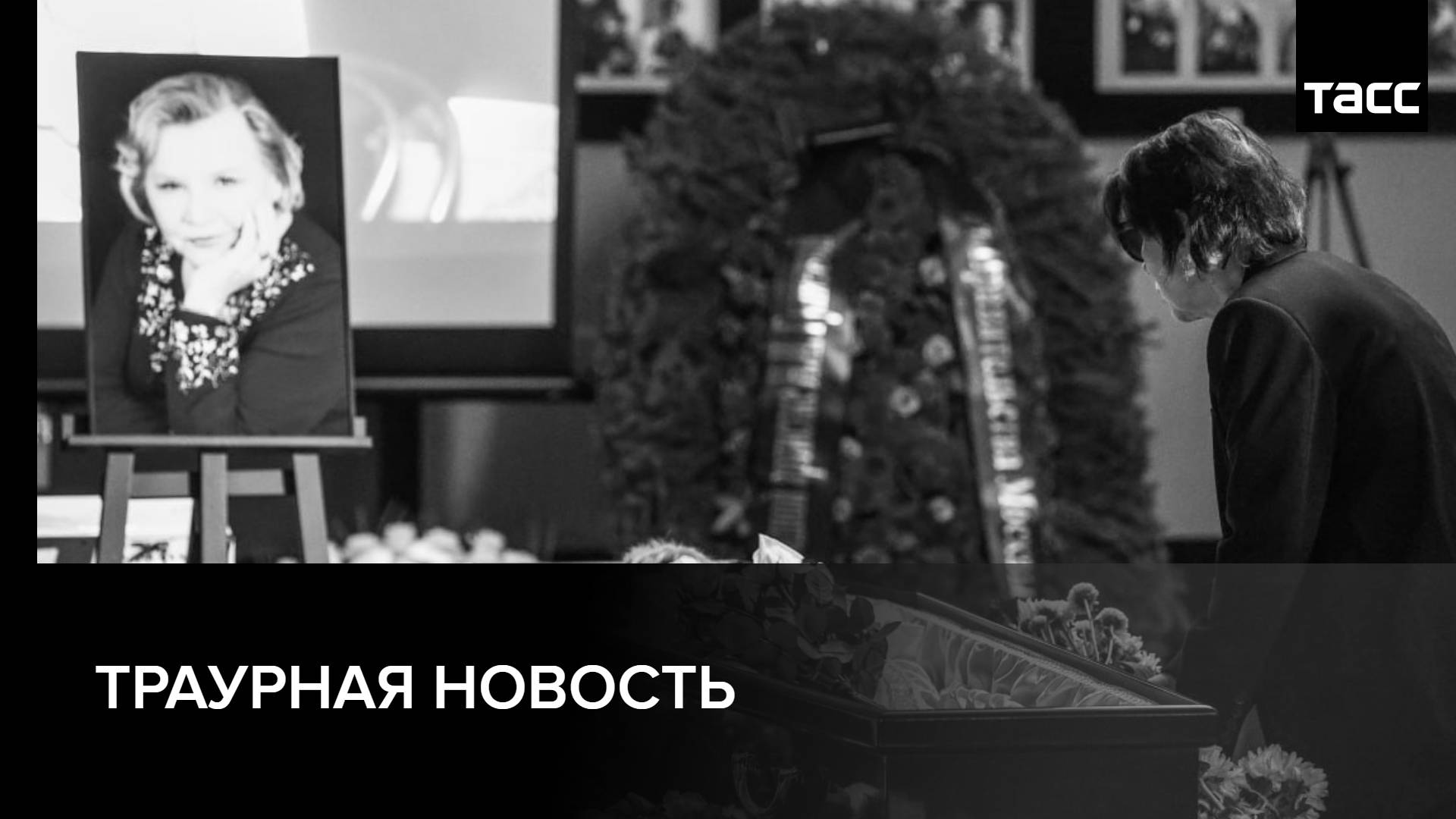 Культура ТАСС