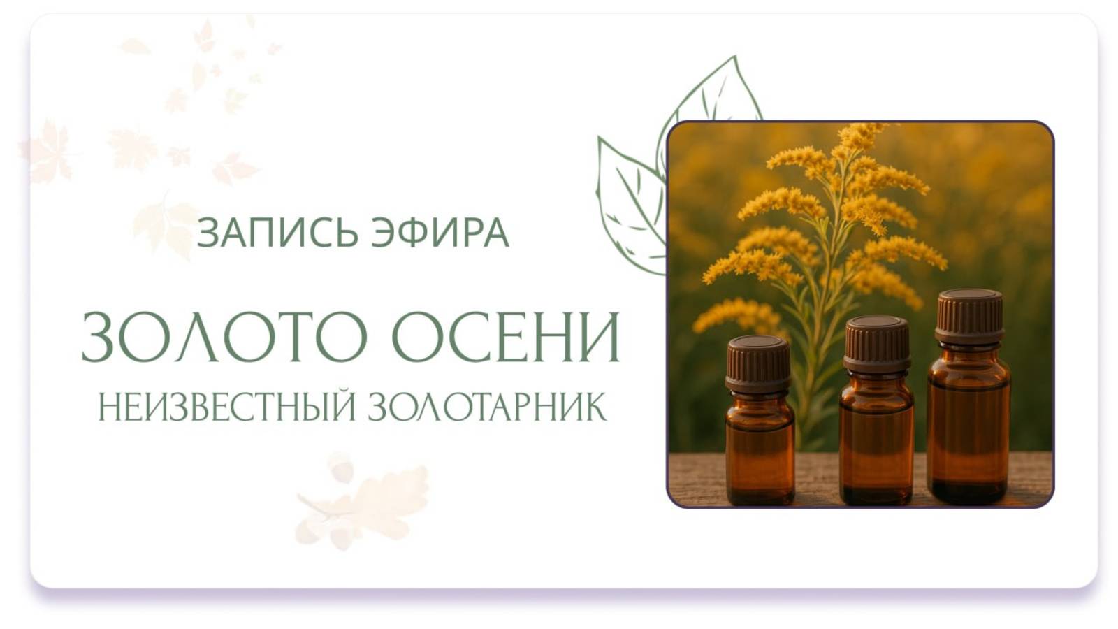 Прямые эфиры. Подкасты. Лекции.