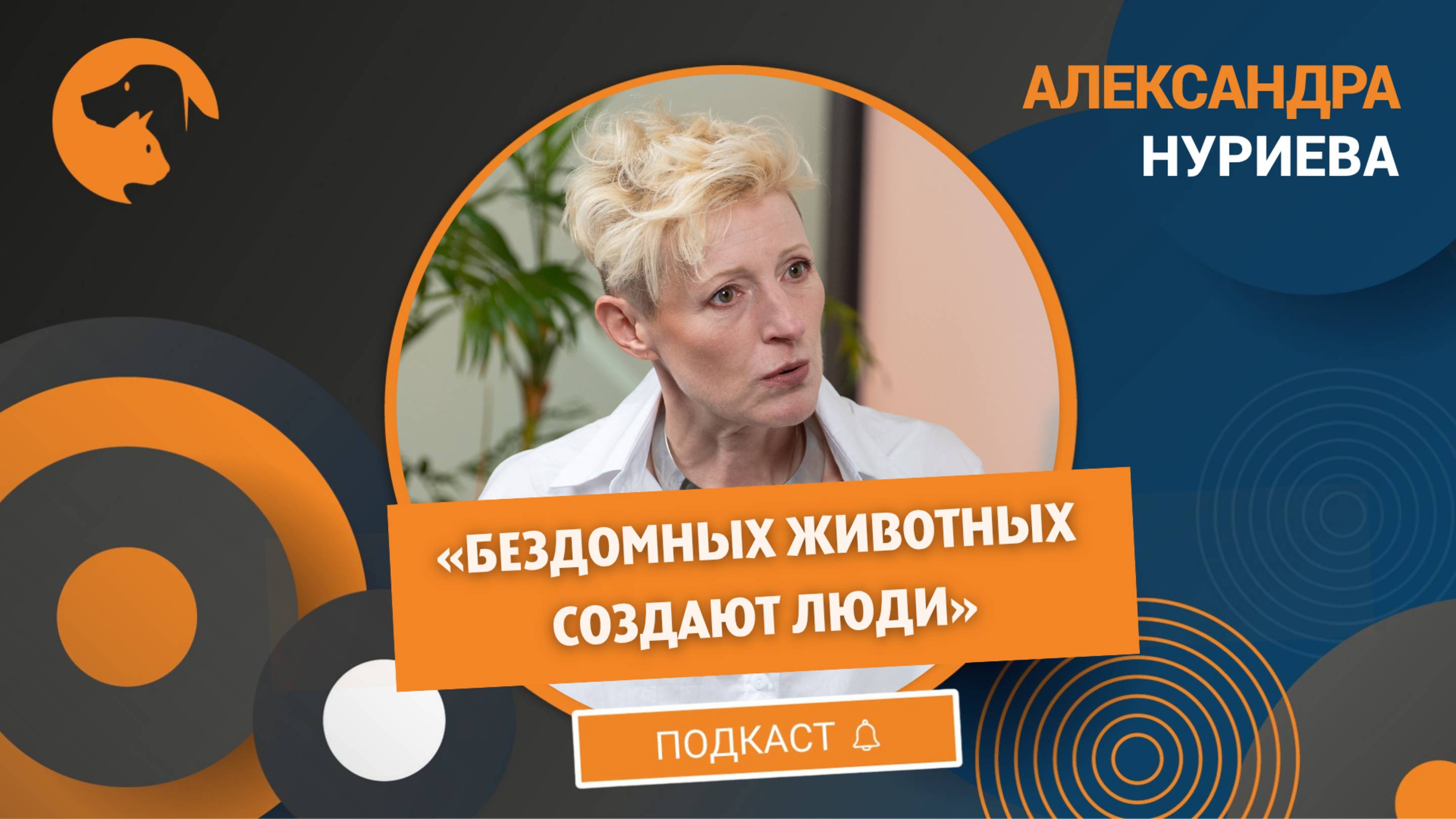 Интервью