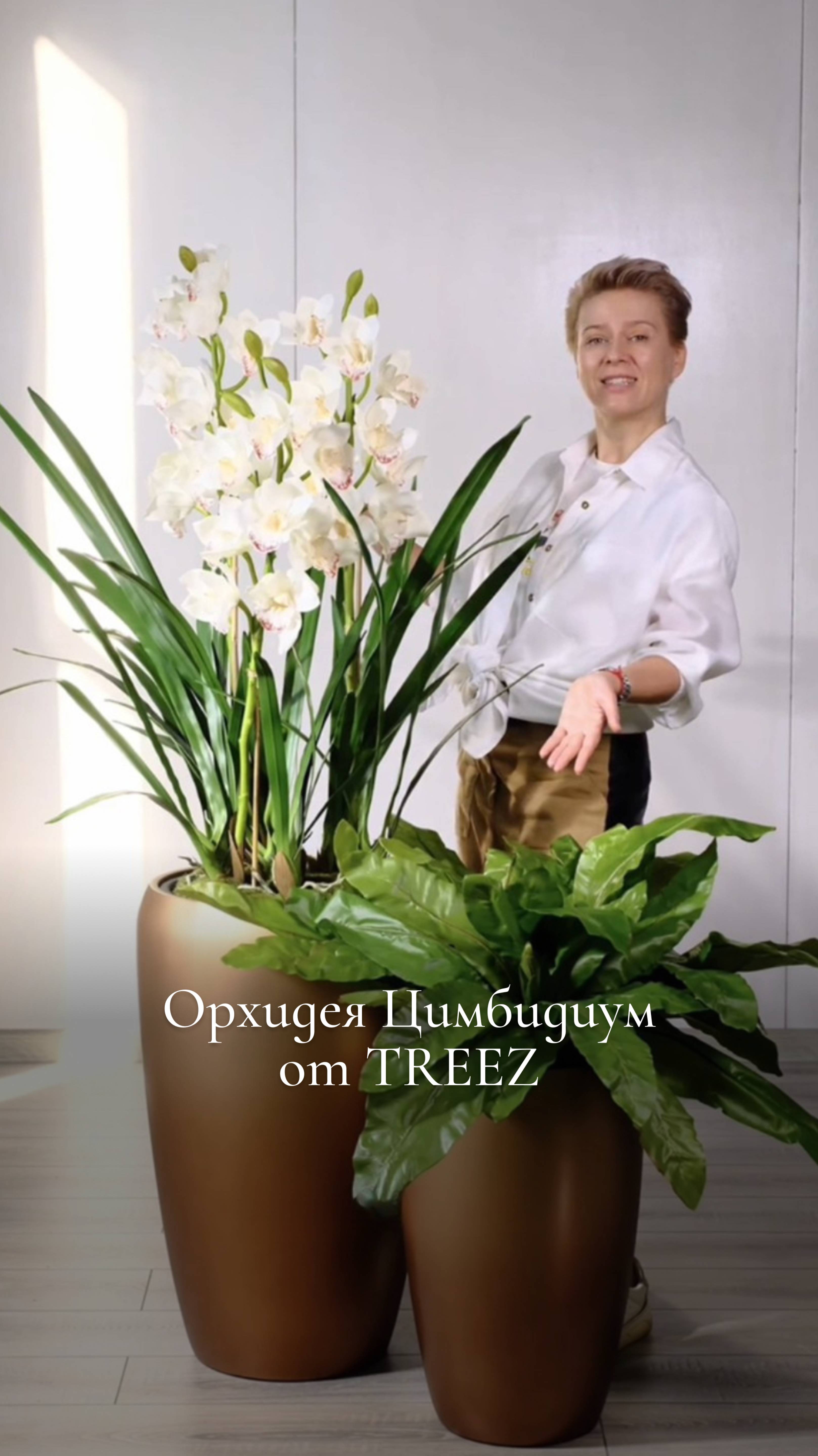 Растения и деревья TREEZ