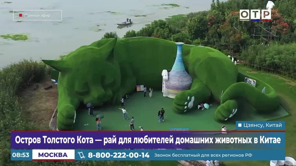 Пёстрый мир