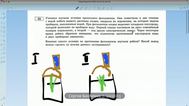 Разбор заданий ОГЭ по биологии