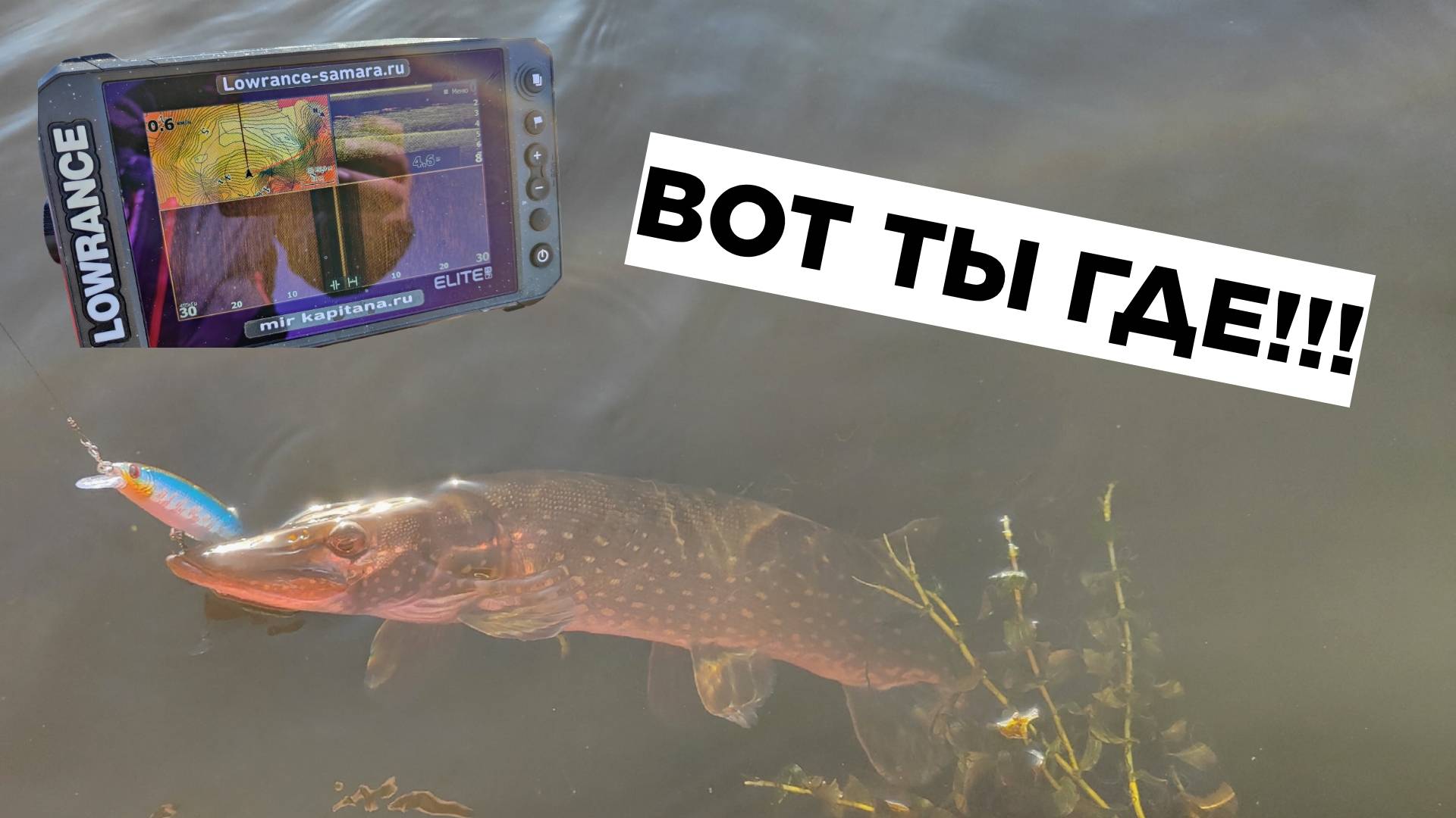 Рыбалка на спиннинг
