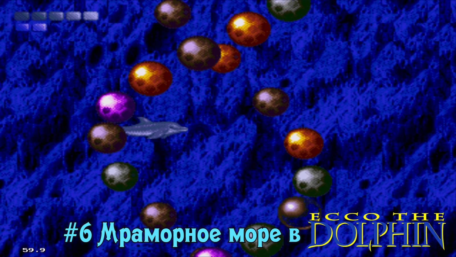 Ecco the Dolphin