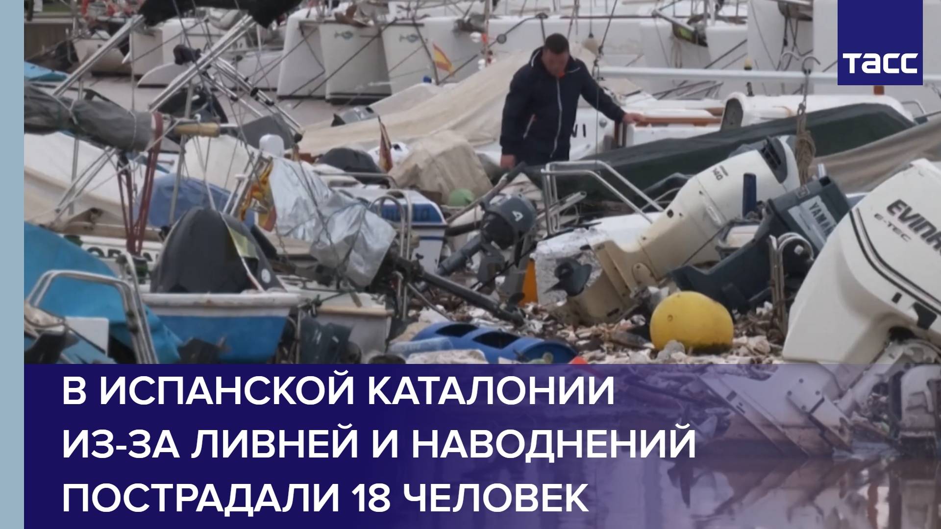 Природа и экология ТАСС