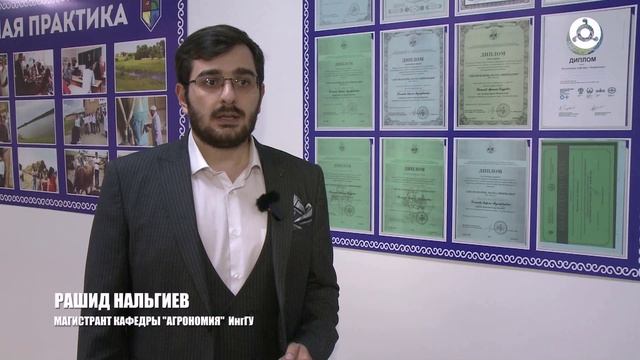Телеочерк